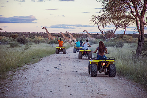 Country Guides - Trade Resources