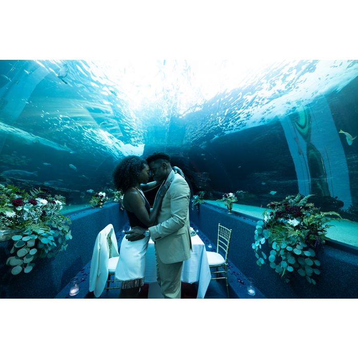 The Proposal-Two Oceans Aquarium Cape Town-A Couple Touching Each Other ...