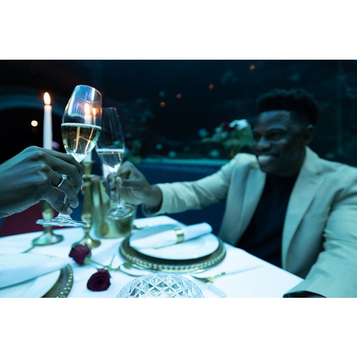 The Proposal-Two Oceans Aquarium Cape Town-A Man Giving A Toast