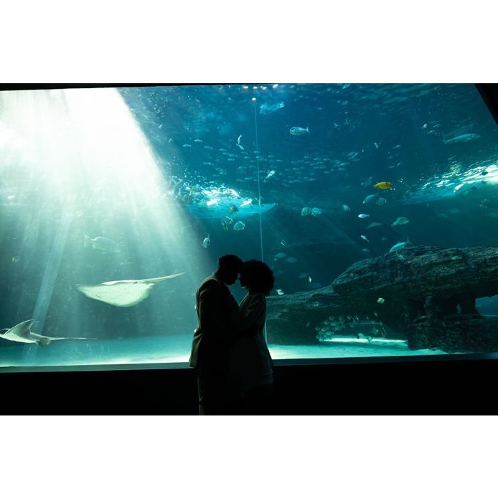 The Proposal-Two Oceans Aquarium Cape Town-Couple Hugging By A Fish Tank