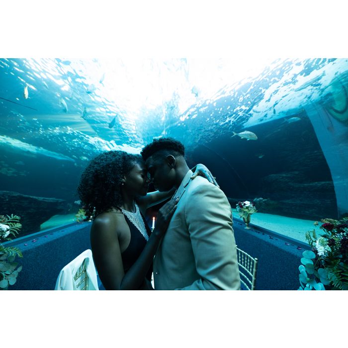 The Proposal-Two Oceans Aquarium Cape Town-Couple Touching Each Other ...
