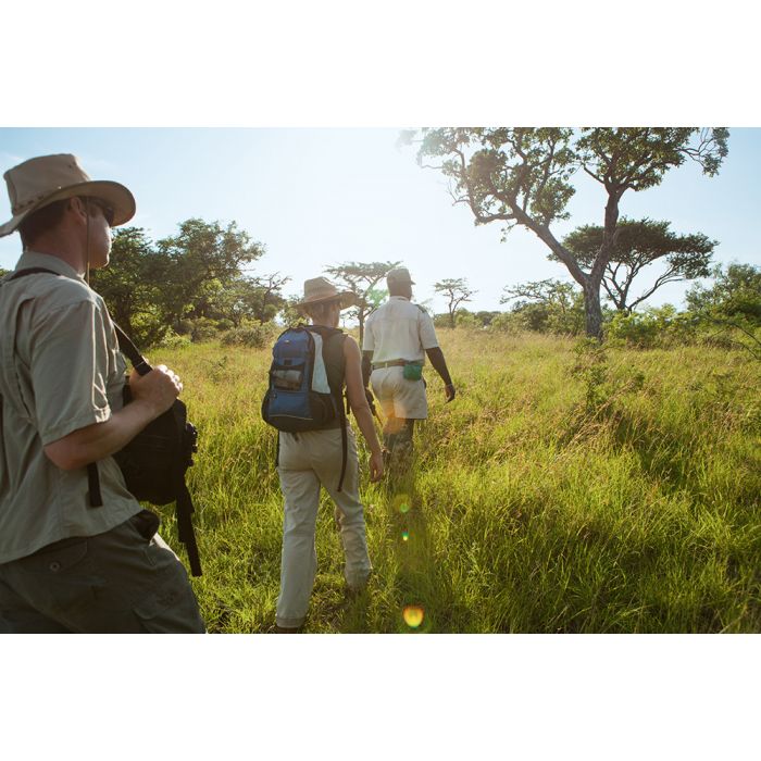 Wildlife Safari-Mpumalanga-Ranger leading guests on a safari walk ...