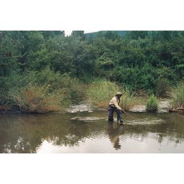 Family - Limpopo- Man fishing in the river
